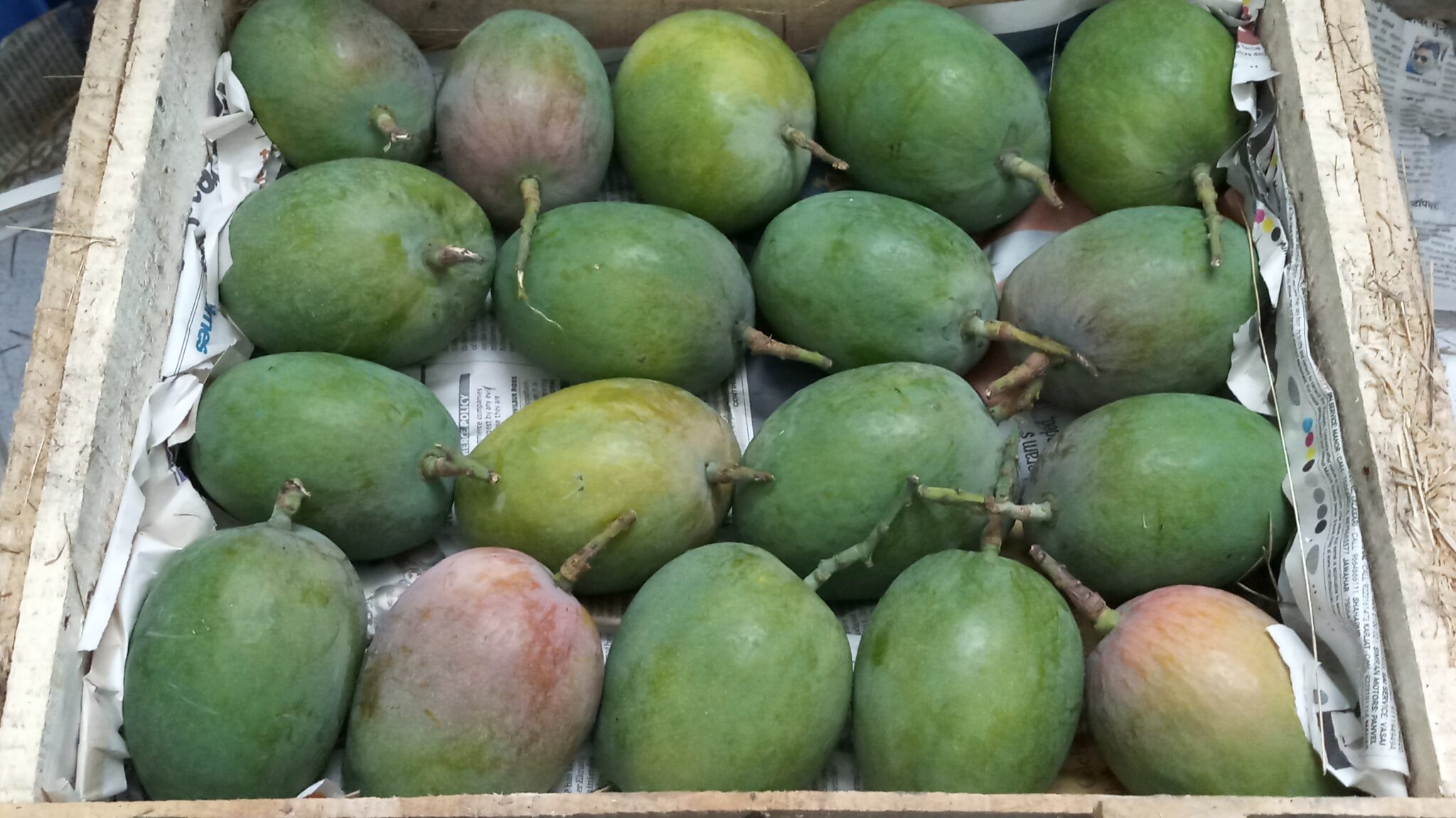 5.5 Dozen Payri Mangoes Full Wood Mango Box-Peti Devgadh Ratnagiri ...