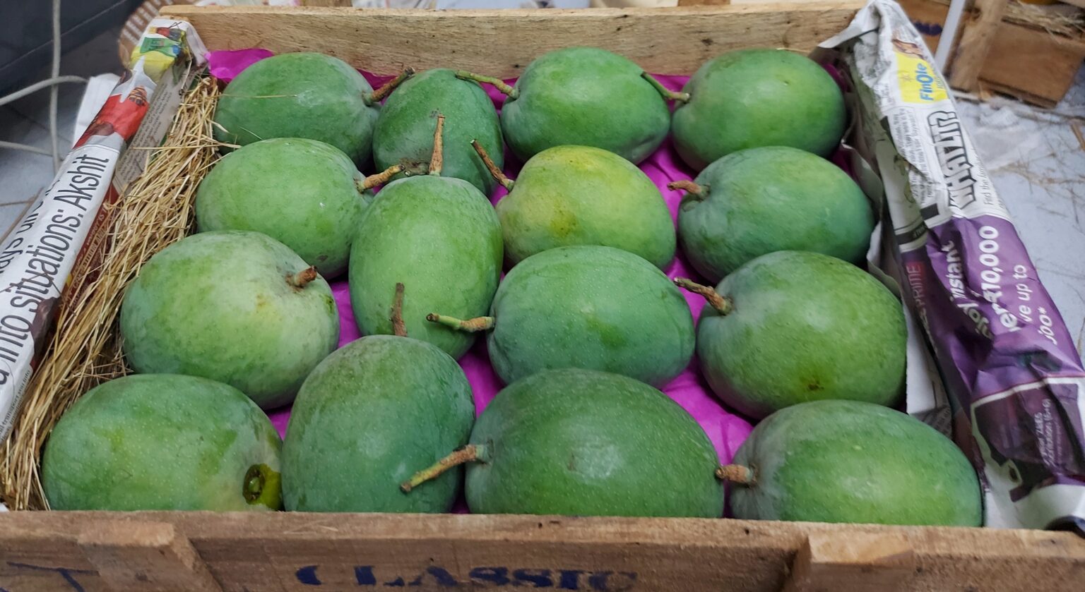 6 Dozen Payri Mangoes Full Wood Mango Box-Peti Devgadh Ratnagiri-Payri ...